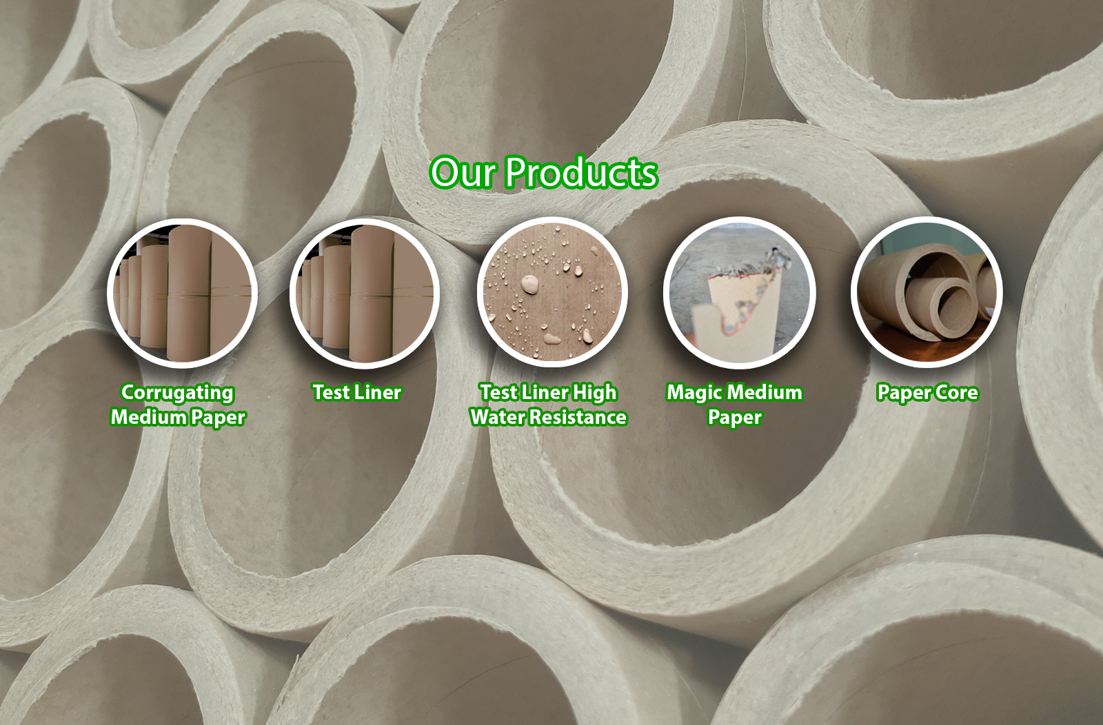 Evergreen International Paper – Paper Mill