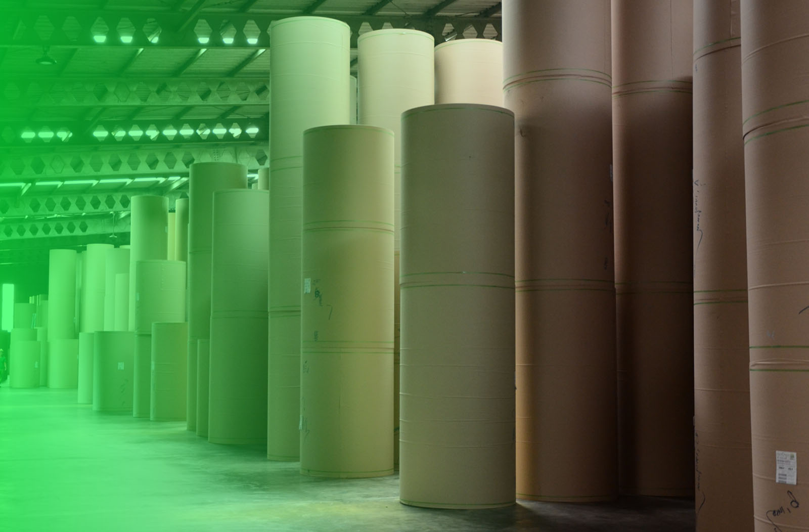 Evergreen International Paper – Paper Mill